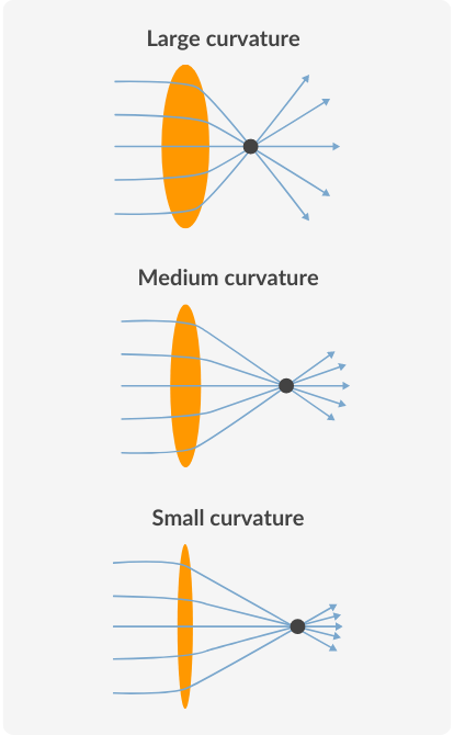 Glasses Lens Material - Everything you need to know | SmartBuyGlasses AE