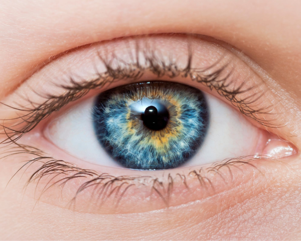 Eye Problems | Eye Issues | SmartBuyGlasses NZ