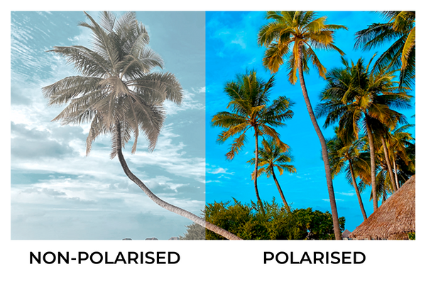 What are Polarised Sunglasses? | SmartBuyGlasses UK