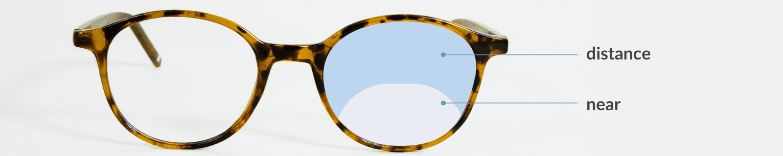 What Are Bifocal Glasses? | SmartBuyGlasses UK