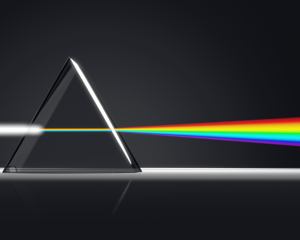 How Does the Eye See Colours? | SmartBuyGlasses UK