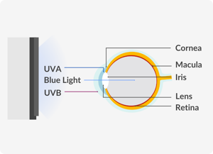 What Are Blue Light Glasses? | Purpose, Benefits, and more insights ...