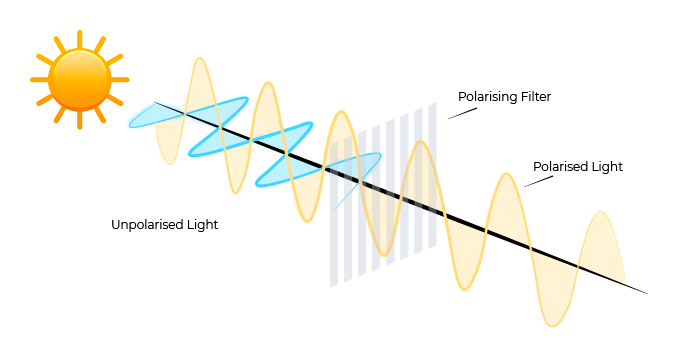 What Does Polarized Sunglasses Mean? - Everything You Need to Know