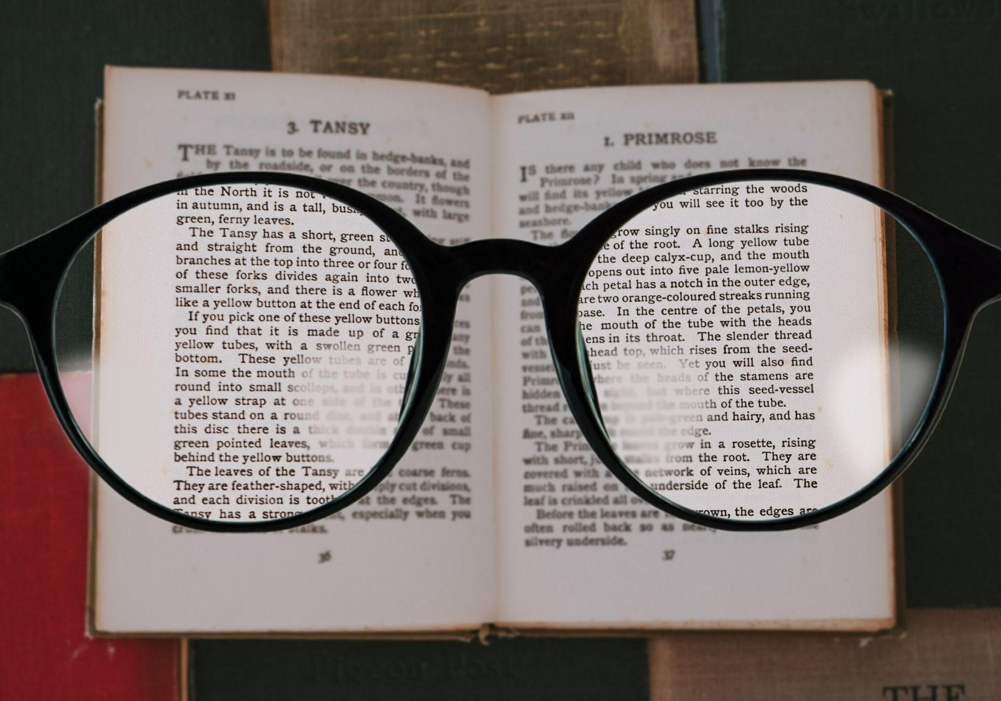 Types of Glasses | SmartBuyGlasses US