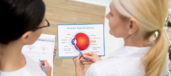 Optical Centre | Eye Care | Vision Direct AU