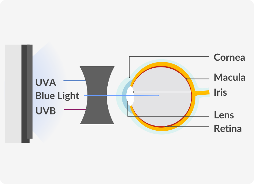 What Are Blue Light Glasses? | Purpose, Benefits and more insights ...