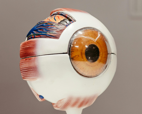 How Far Can the Human Eye See? | VisionDirect AU